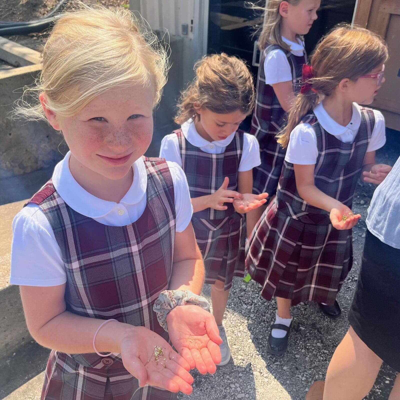 Classical, Christian, Collaborative Education | Knox Classical School